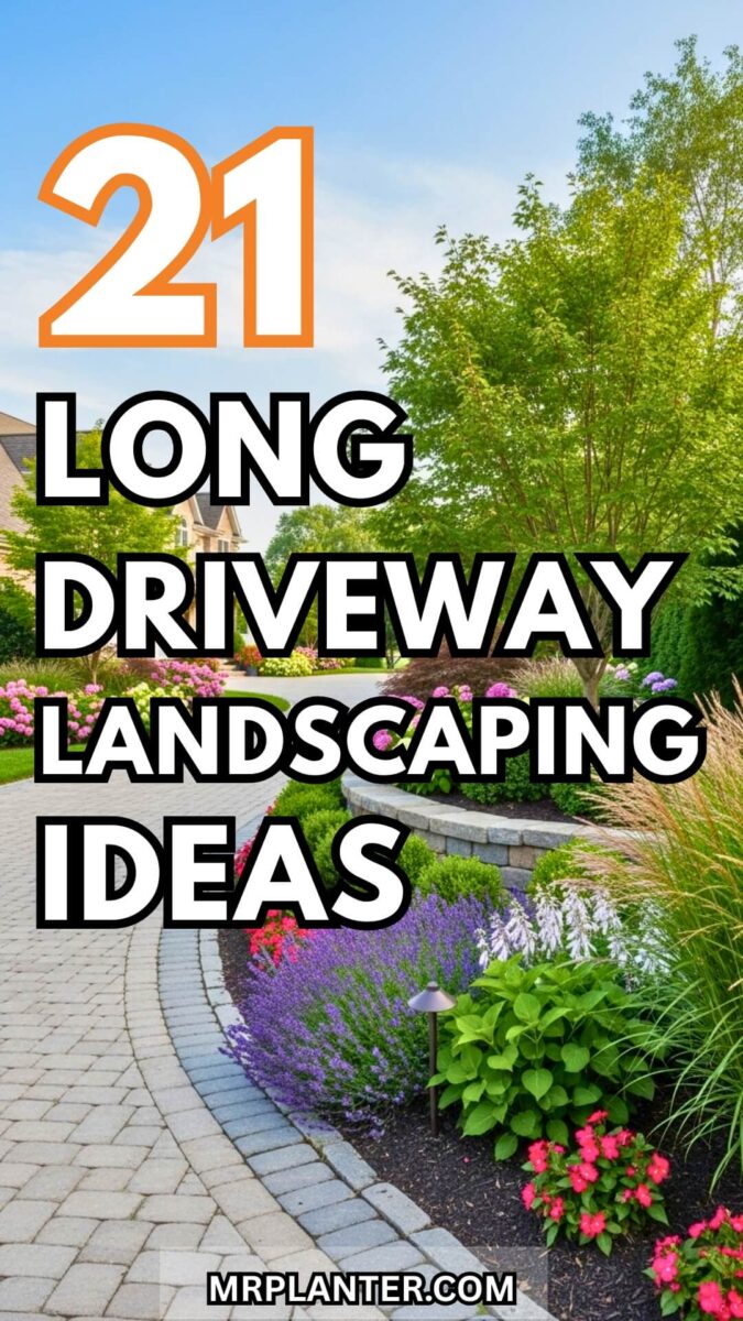 21 Long Driveway Landscaping Ideas to Elevate Your Curb Appeal
