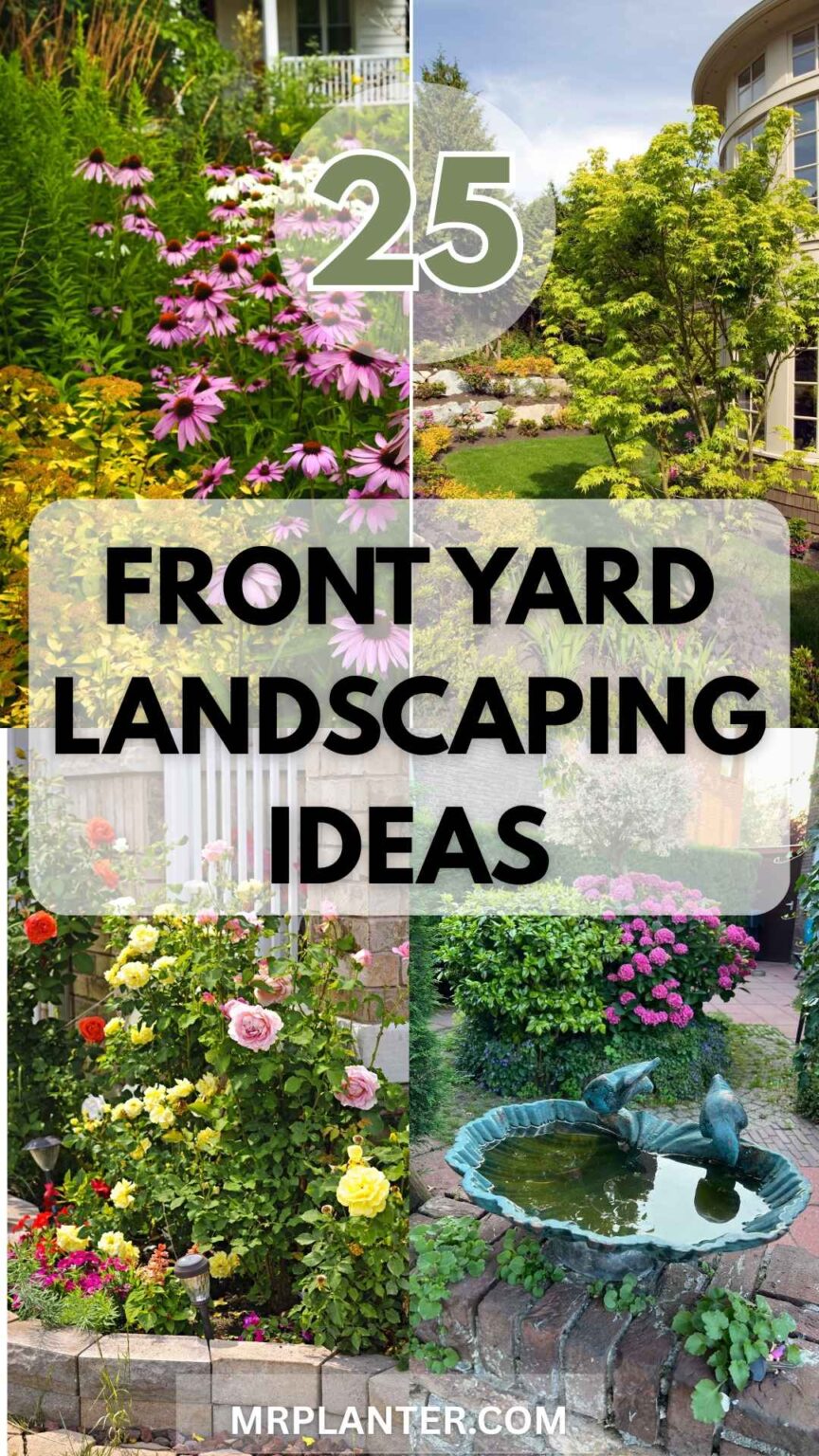 25 Front Yard Landscaping Ideas to Boost Curb Appeal Instantly