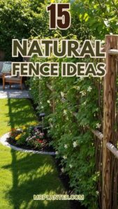 15 Natural Fence Ideas in the Backyard